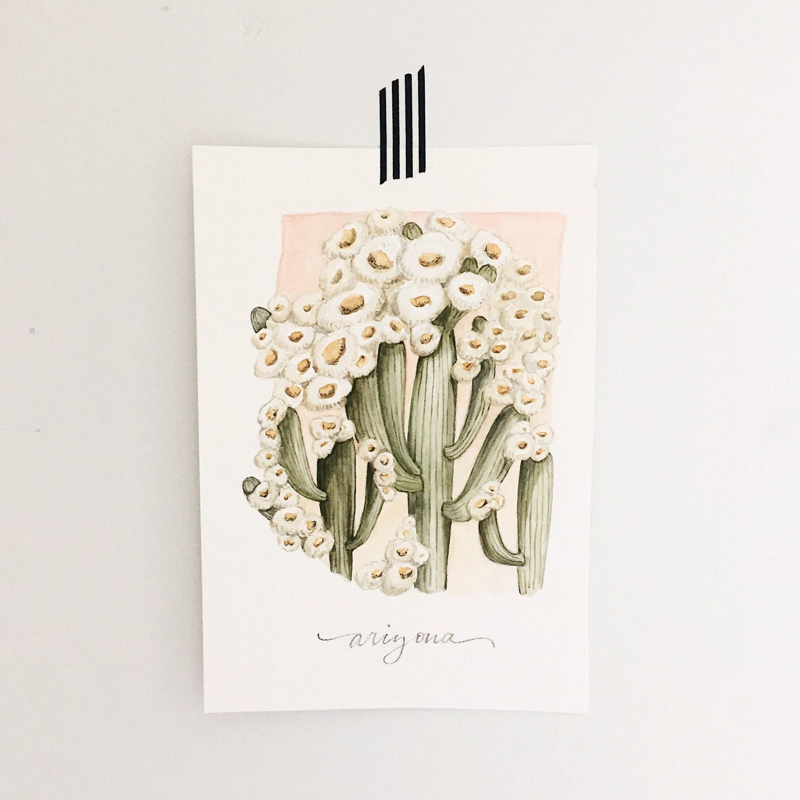 State Flowers Series – Coley Kuyper Art